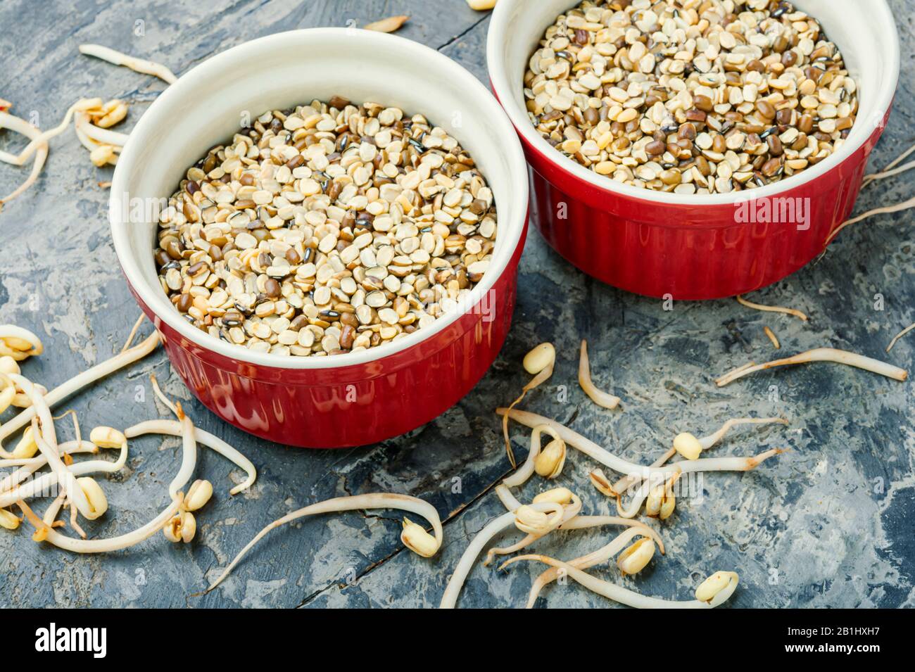 Plant of gram hi-res stock photography and images - Alamy