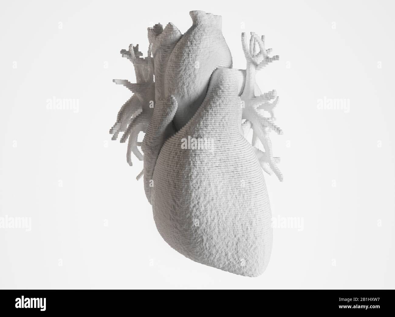 Bioprint of a heart, 3D printing of a heart, concept of the future in ...