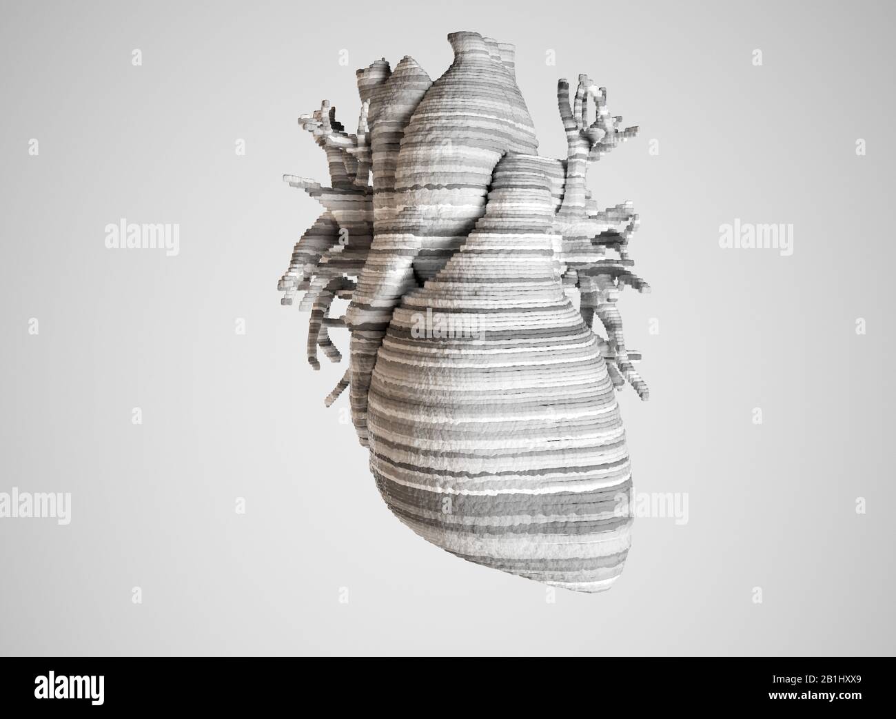 Bioprint of a heart, 3D printing of a heart, concept of the future in ...