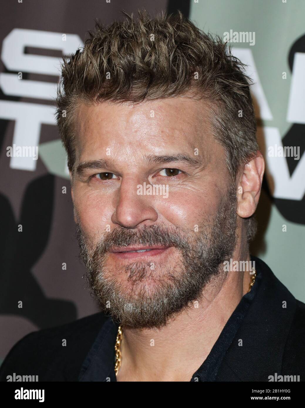 HOLLYWOOD, LOS ANGELES, CALIFORNIA, USA - FEBRUARY 25: Actor David ...