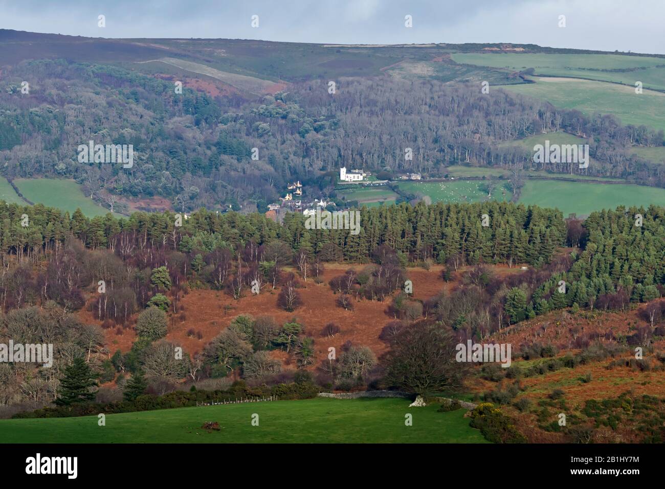 Selworthy wood hi-res stock photography and images - Alamy
