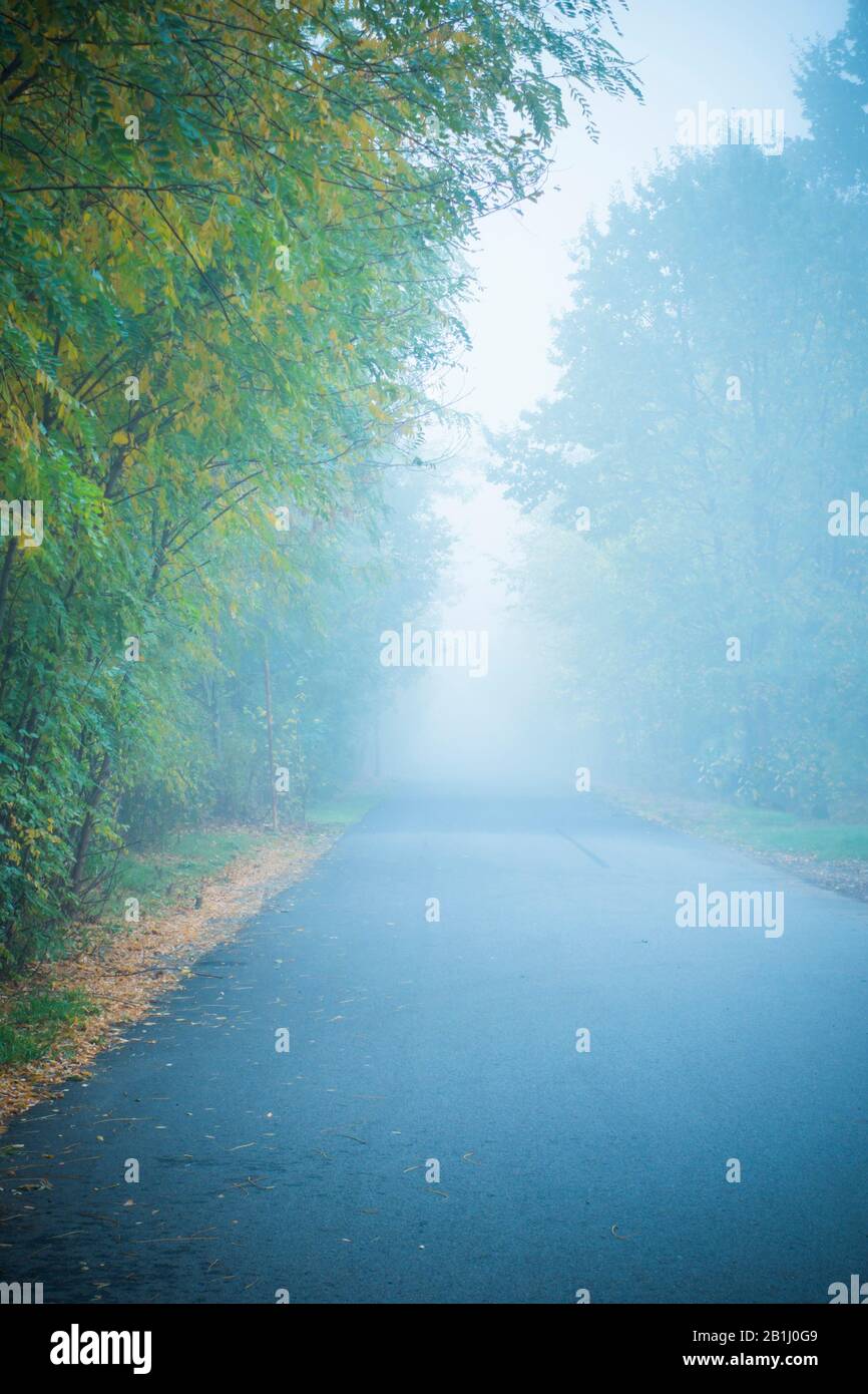 Fog road hi-res stock photography and images - Alamy