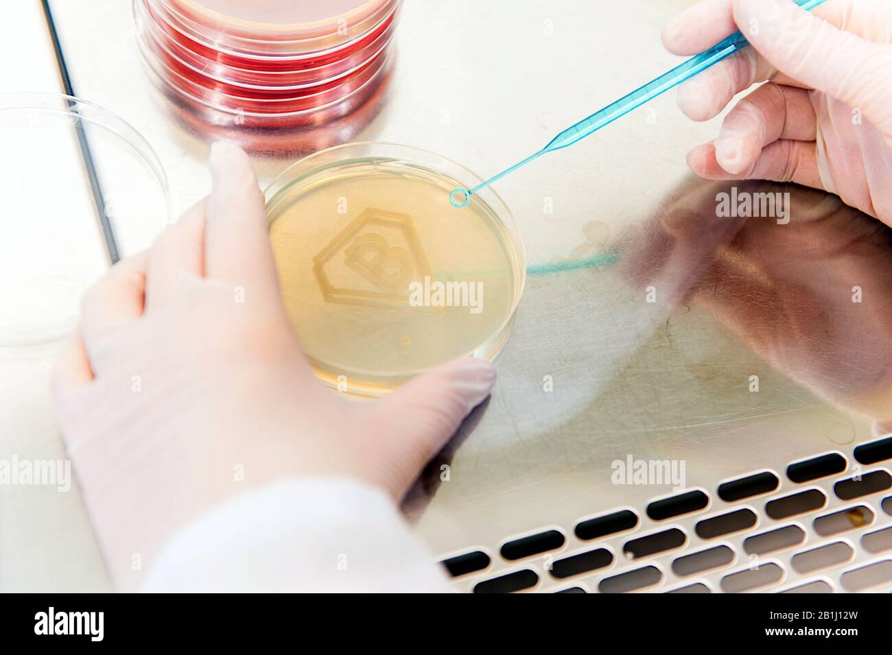 super microbe in lab concept - scientist holding petri plate with sign ...