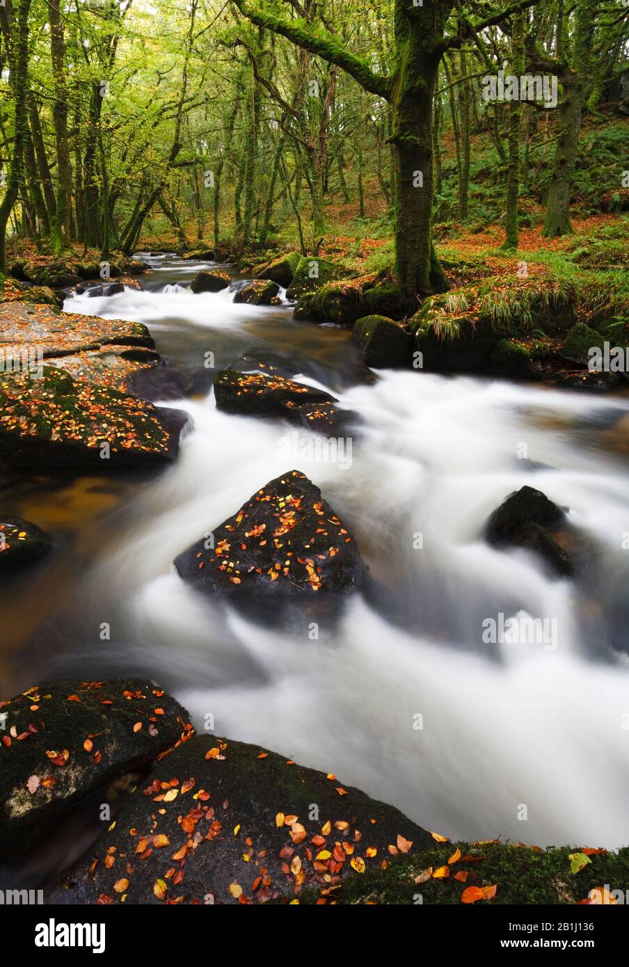 English waterfall hi-res stock photography and images - Alamy