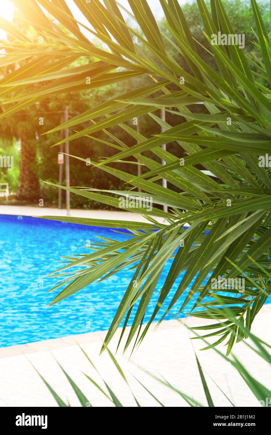 Outdoor swimming pool at summer time Stock Photo - Alamy