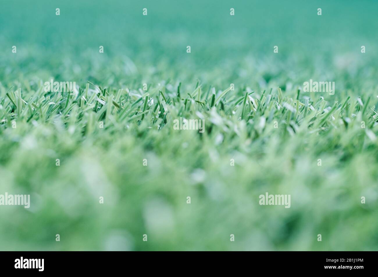 Green grass. background texture. fresh spring green grass Stock Photo ...