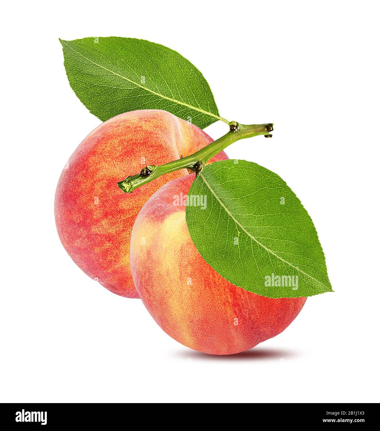 Peach isolated on white background Stock Photo - Alamy