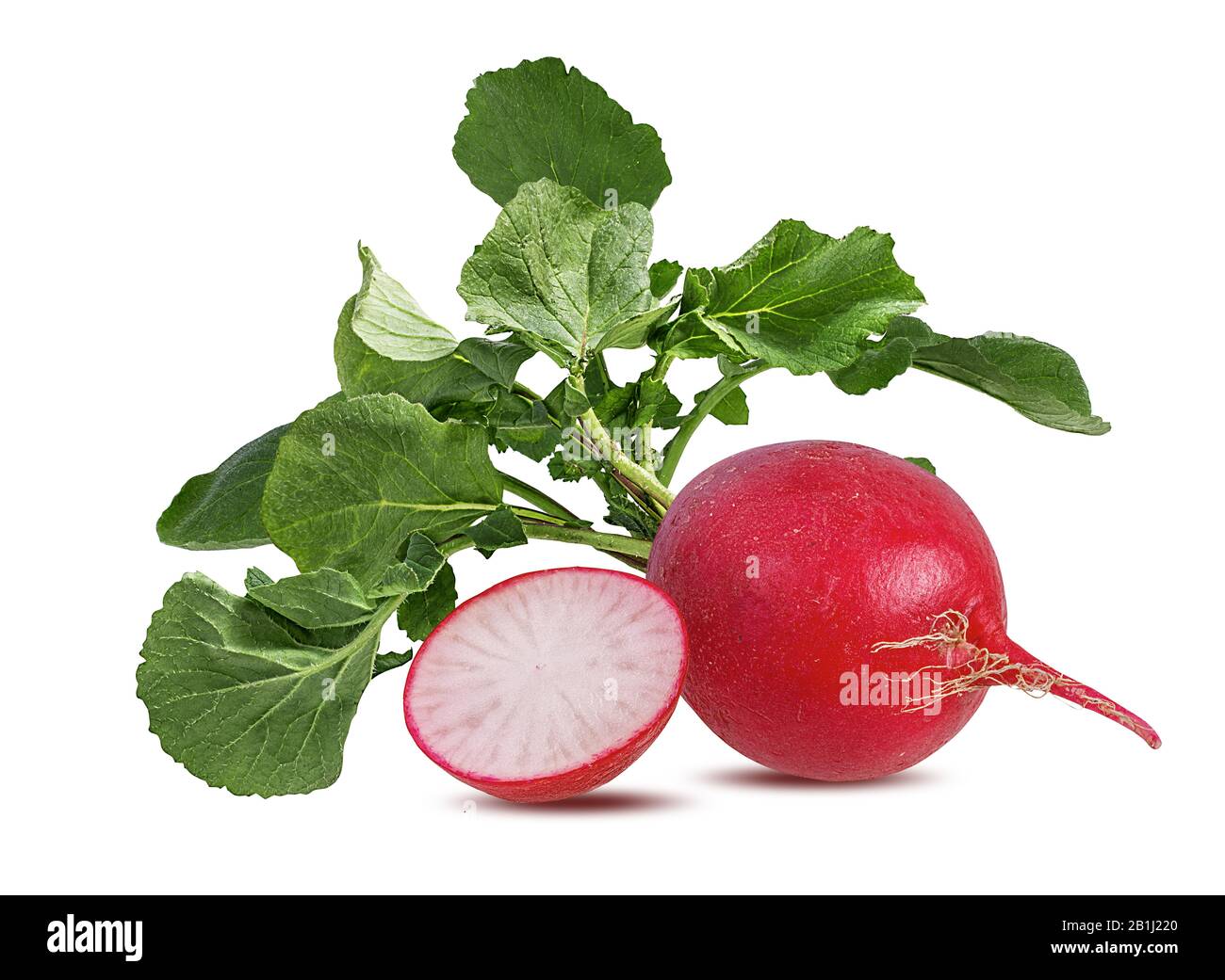 Fresh radishes isolated on white Stock Photo - Alamy