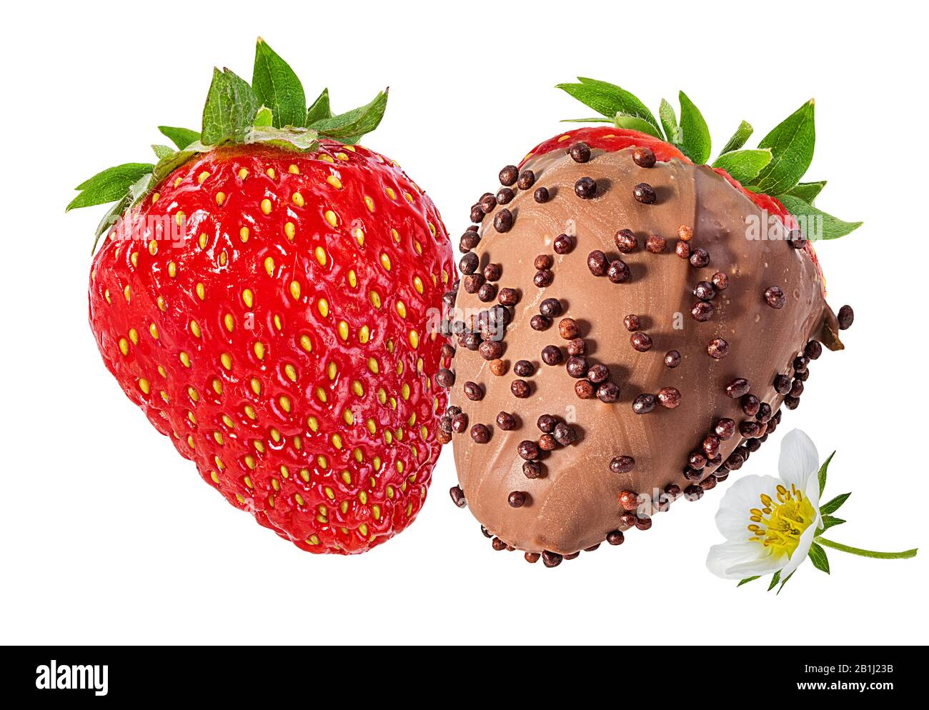 strawberry in chocolate isolated on the white background Stock Photo ...