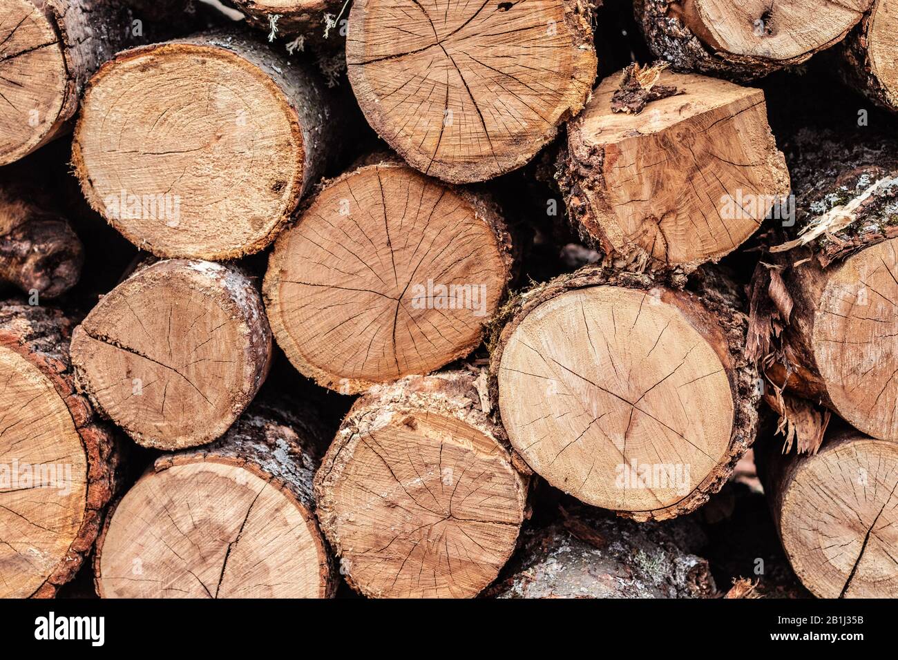 Wooden natural cut logs for harvesting for the winter Stock Photo - Alamy
