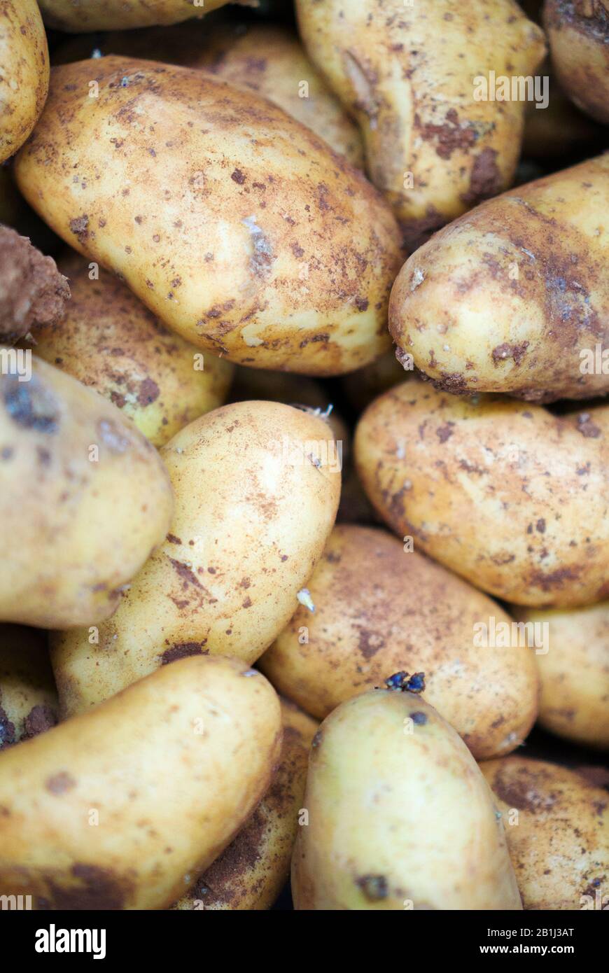 Close up view pile potatoes hi-res stock photography and images - Alamy