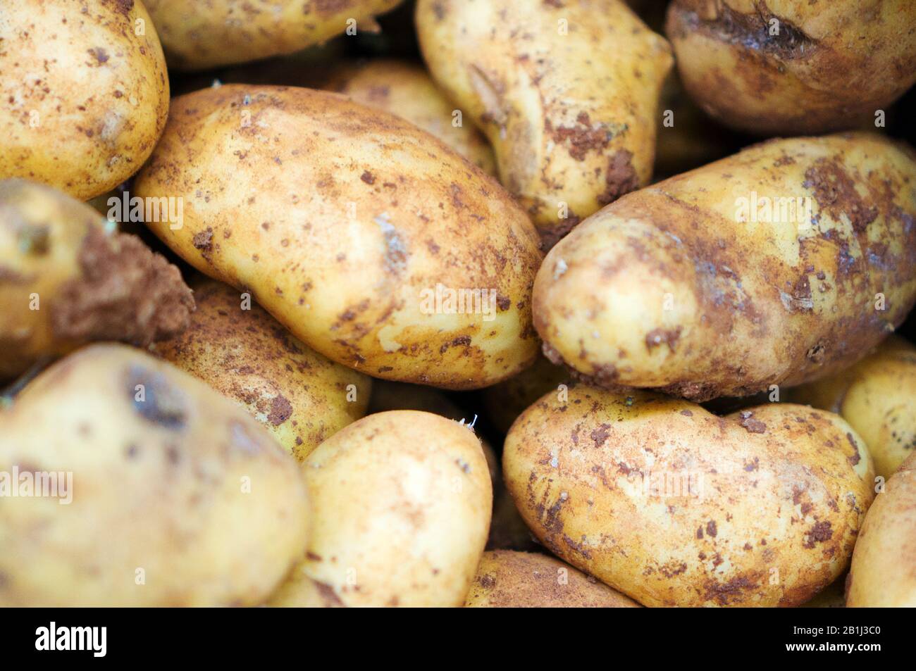 Close up view pile potatoes hi-res stock photography and images - Alamy