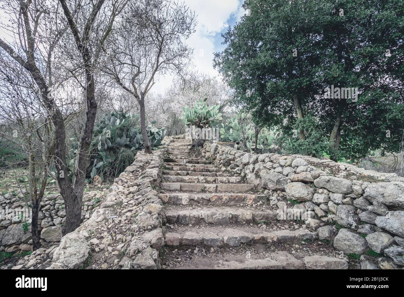 Jerusalem mountains hi-res stock photography and images - Alamy