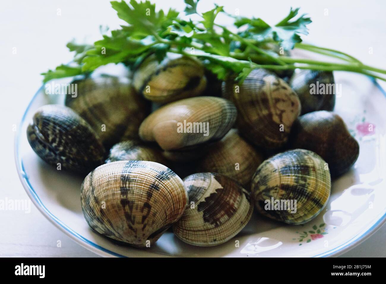 Clam bake hi-res stock photography and images - Alamy