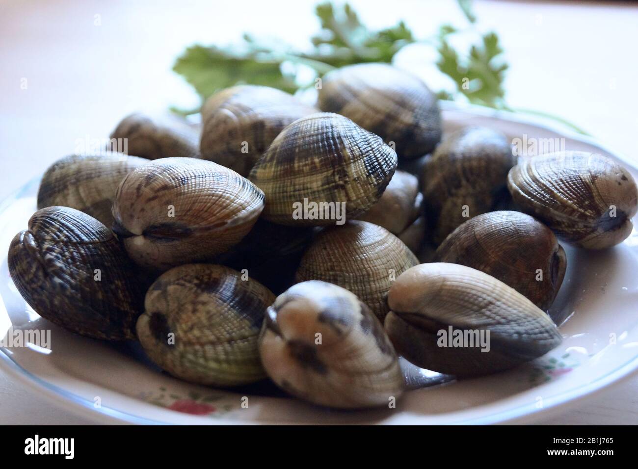 Clam fish hi-res stock photography and images - Alamy