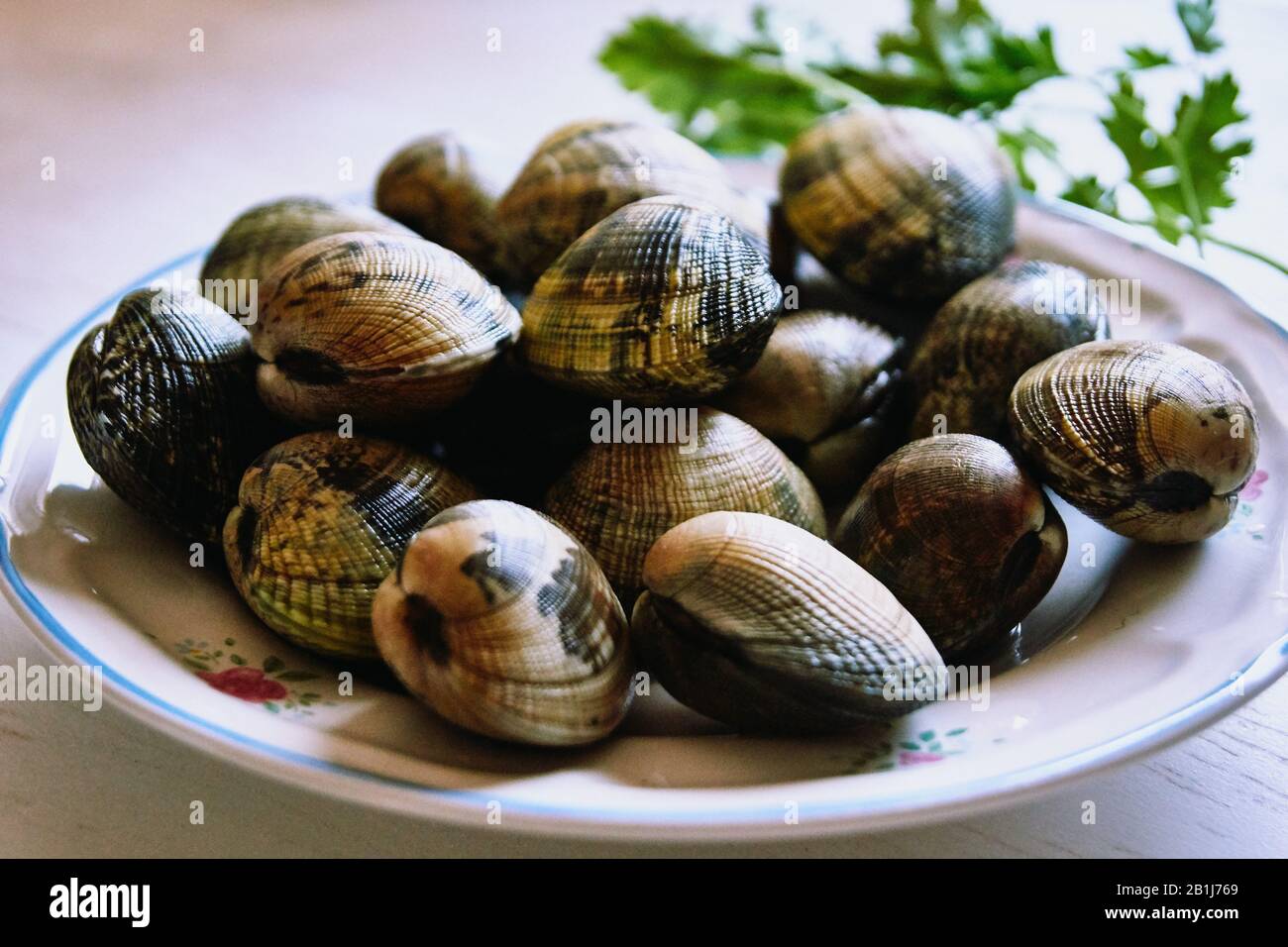 Clam fish hi-res stock photography and images - Alamy