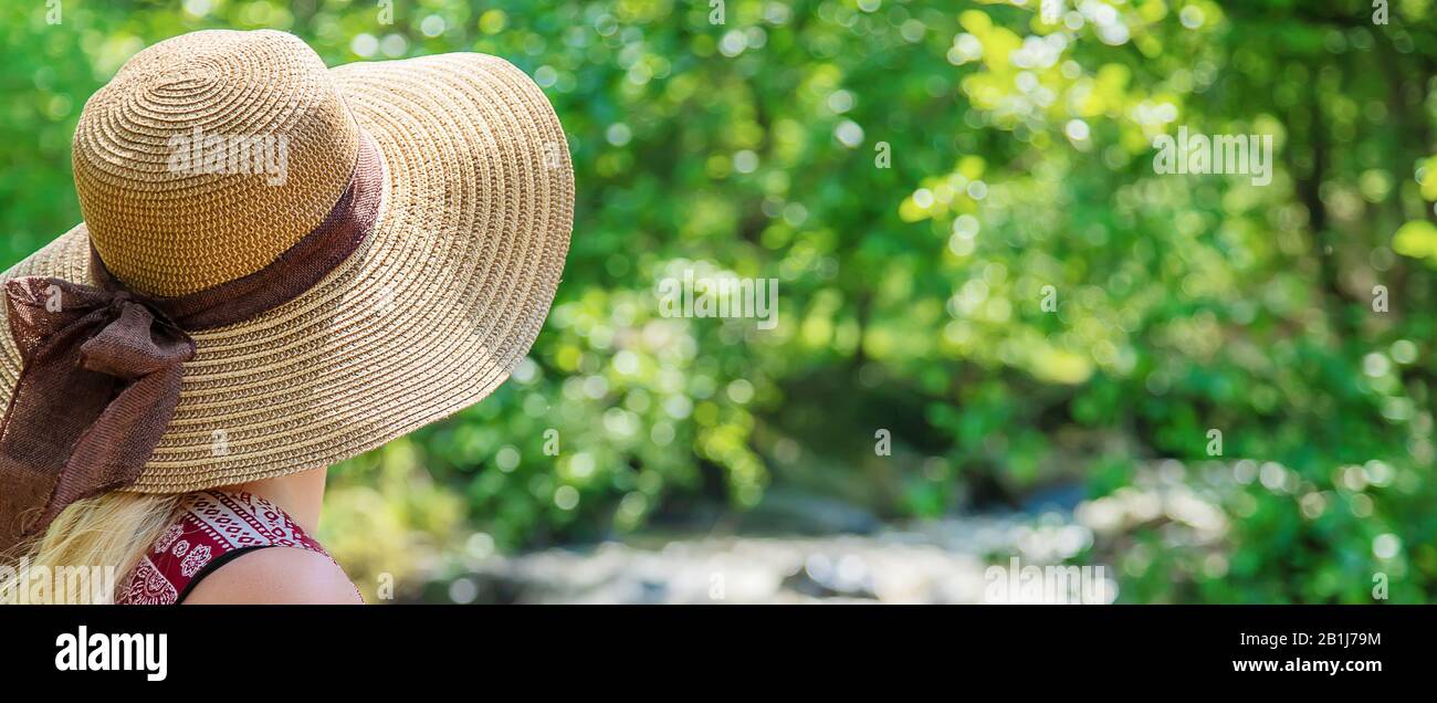 Borjomi nature reserve hi-res stock photography and images - Alamy