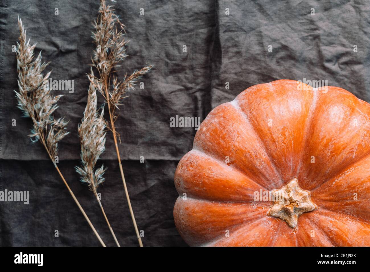 High angle view of a big pumpkin on a table. Halloween of Thanksgiving ...
