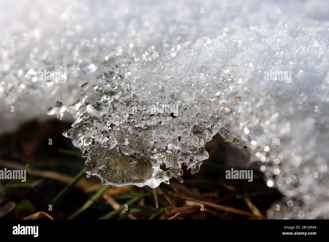Macro photo of melting snow Stock Photo - Alamy