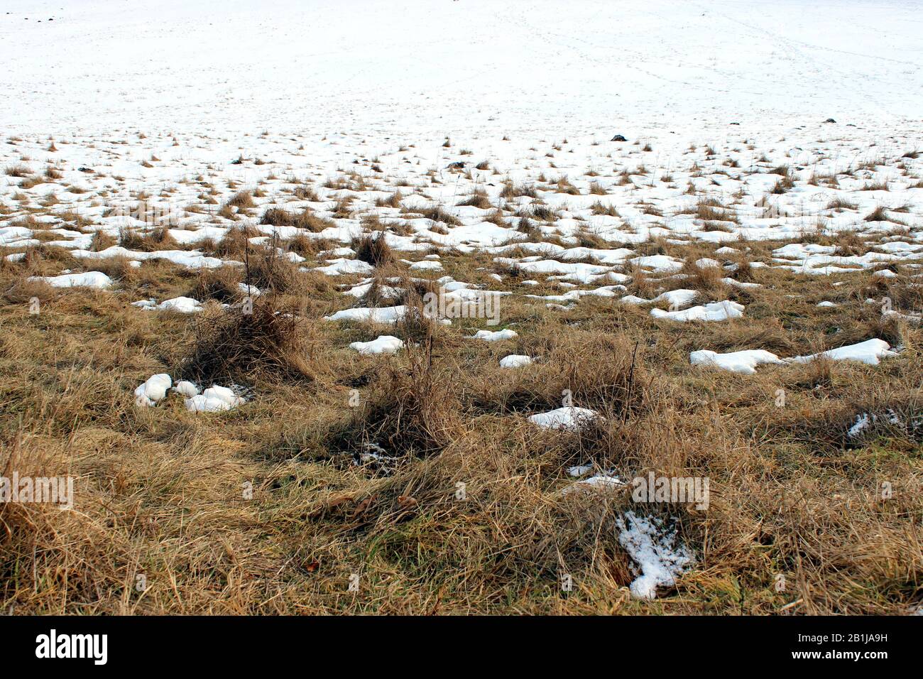 Border of snow covering Stock Photo - Alamy