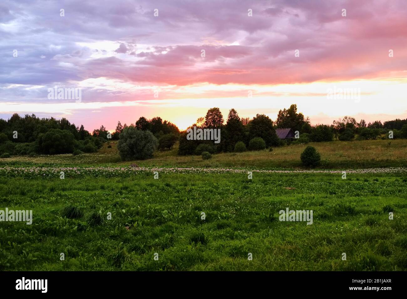 Violet sunset hi-res stock photography and images - Alamy