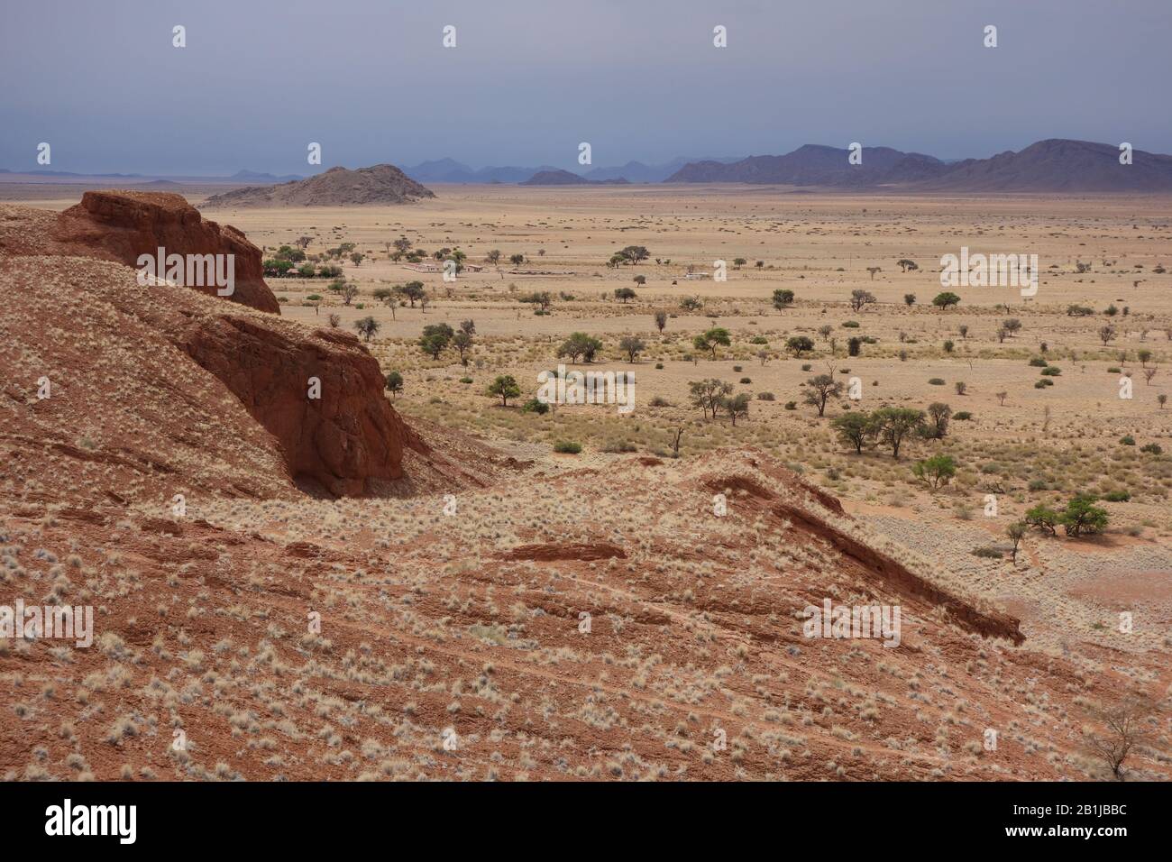 Fossil dunes and red sand dunes landscape next to Namib-desert-lodge in ...