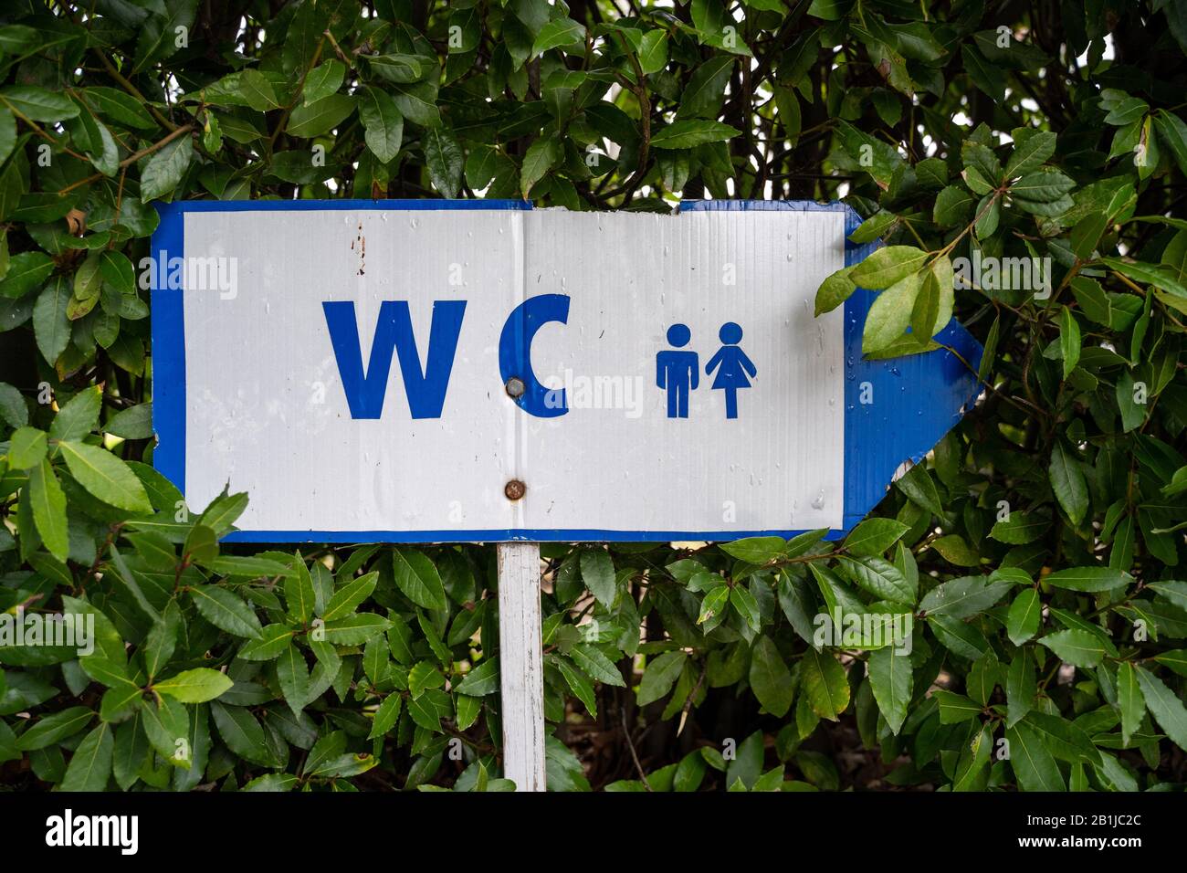 Sign for the WC (watercloset, or toliet) in blue and white, for men and ...