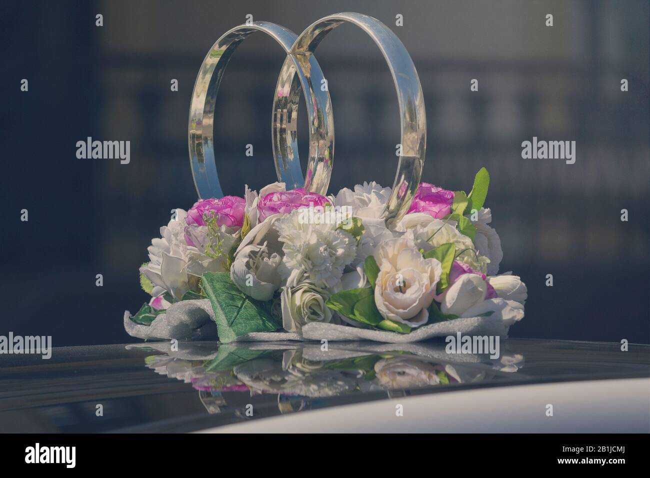 Leaves on car roof hi-res stock photography and images - Alamy