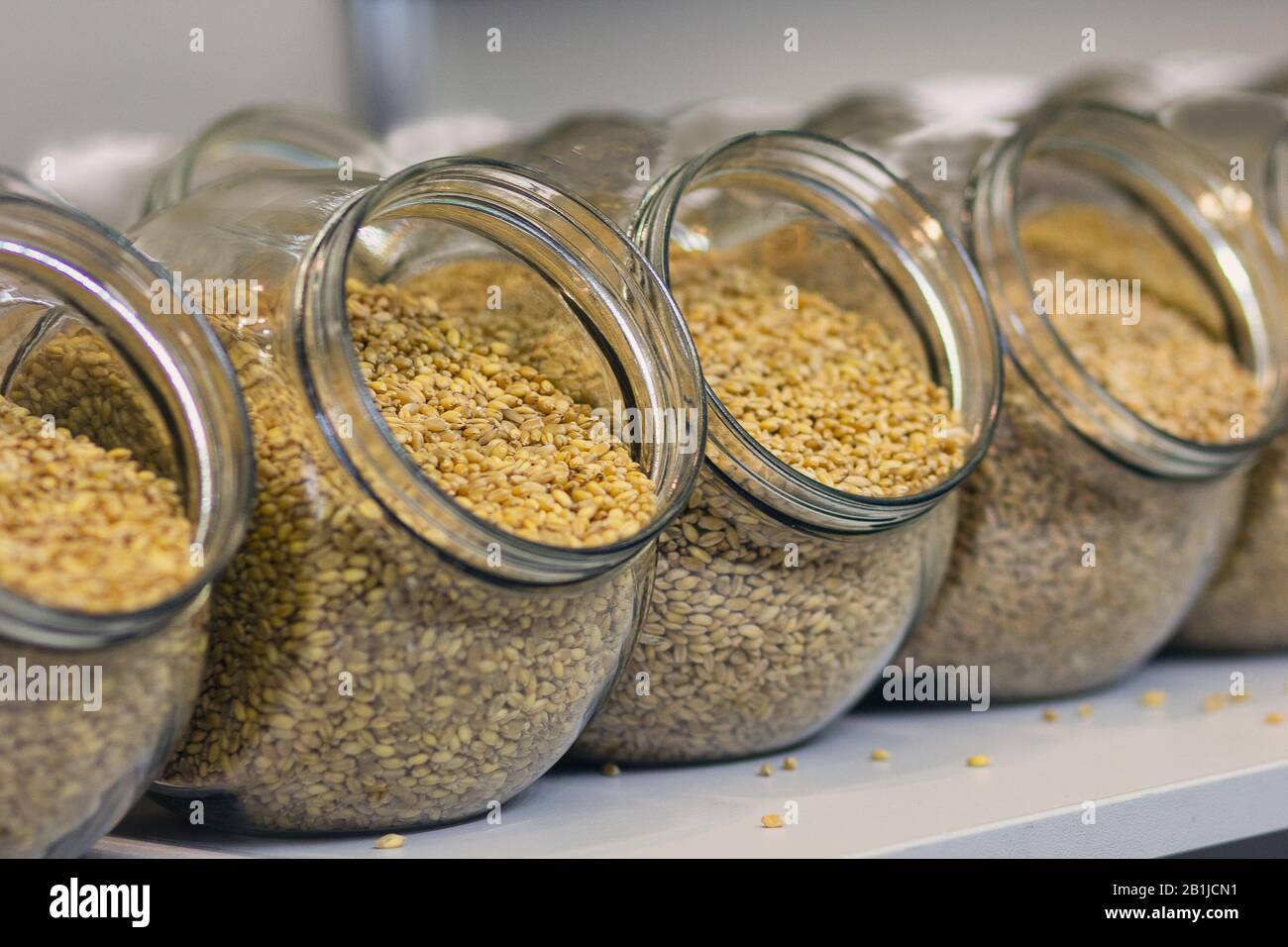 Grain samples in glass jars close-up. Agriculture Stock Photo - Alamy