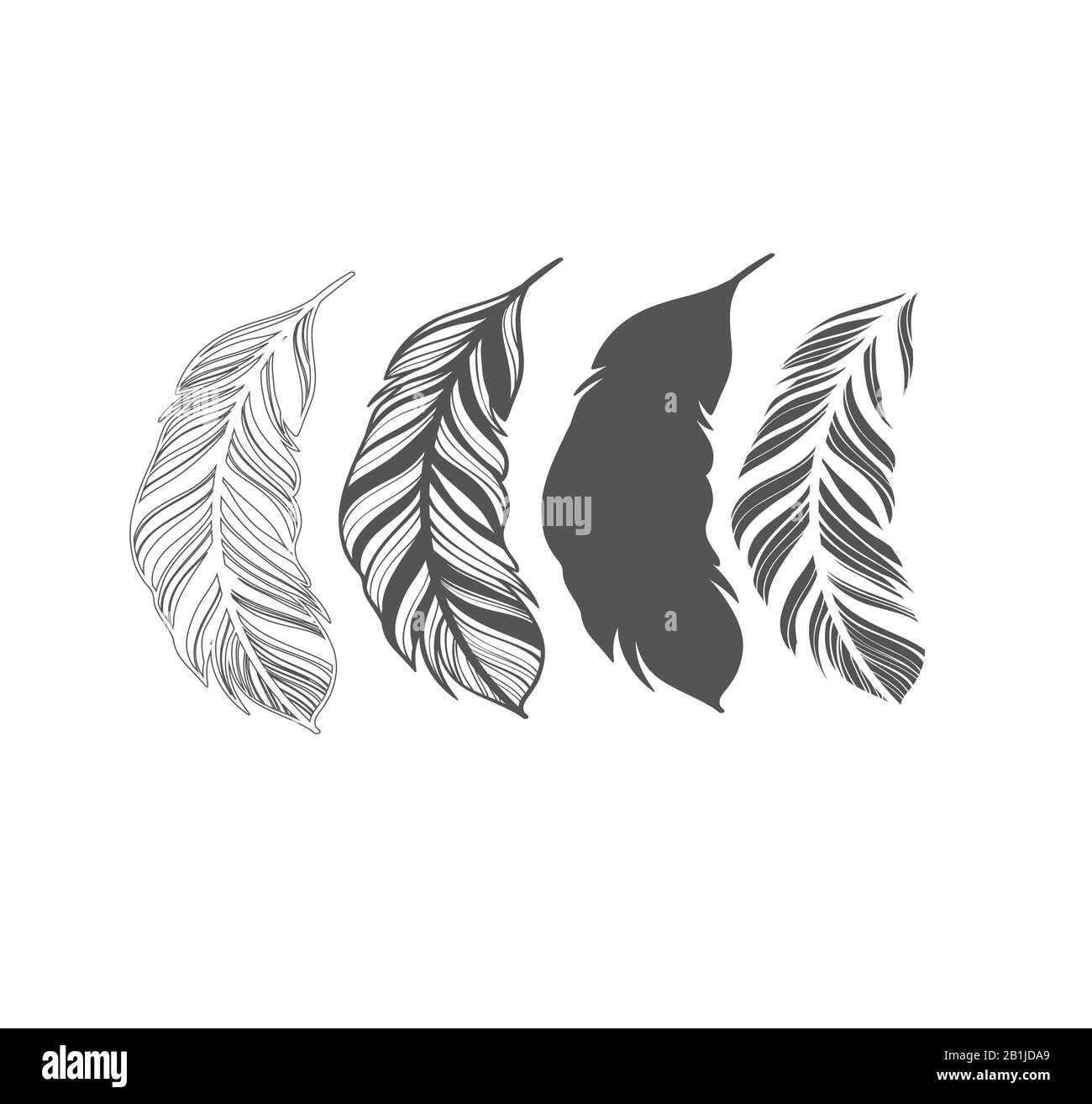 Colorful animal prints Black and White Stock Photos & Images - Alamy