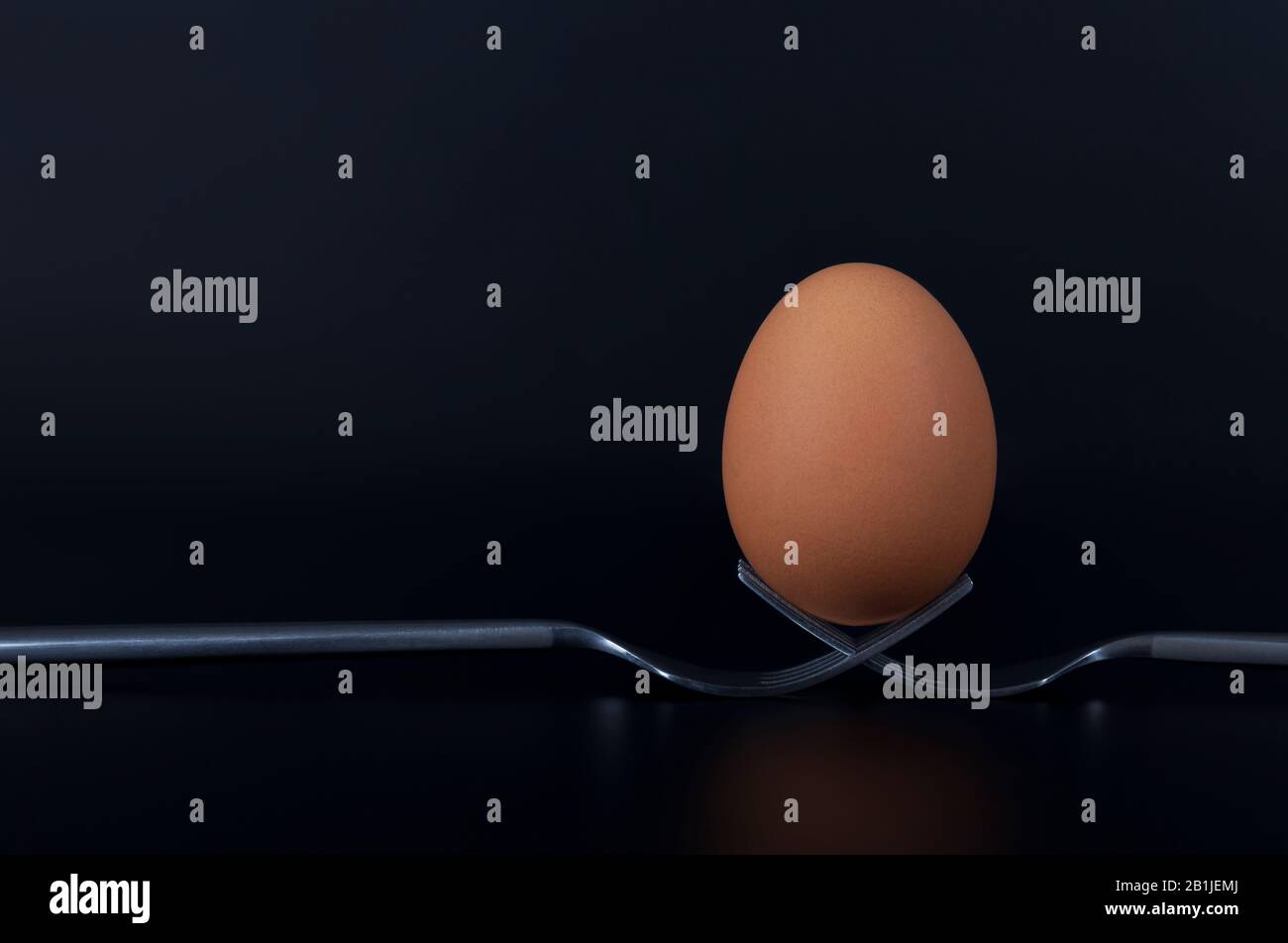 Single chicken egg hi-res stock photography and images - Alamy