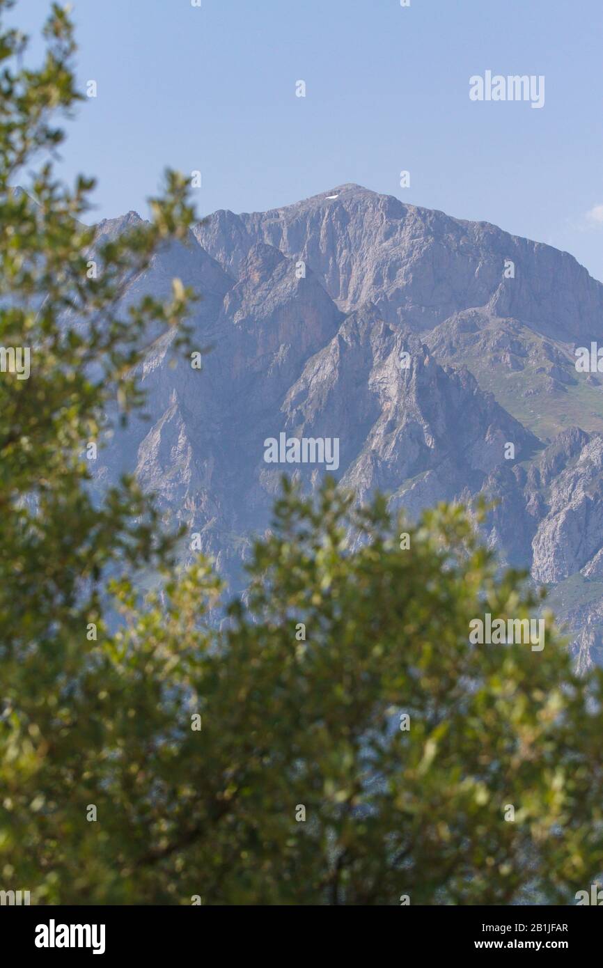 Picos de europa spring flowers hi-res stock photography and images - Alamy