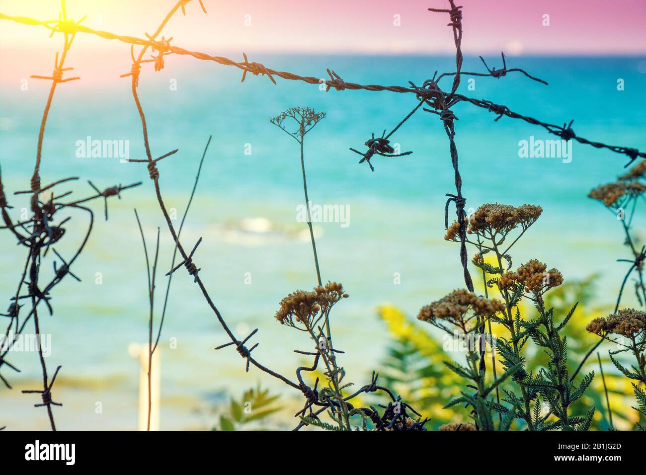 Barbed wire on the beach hi-res stock photography and images - Alamy