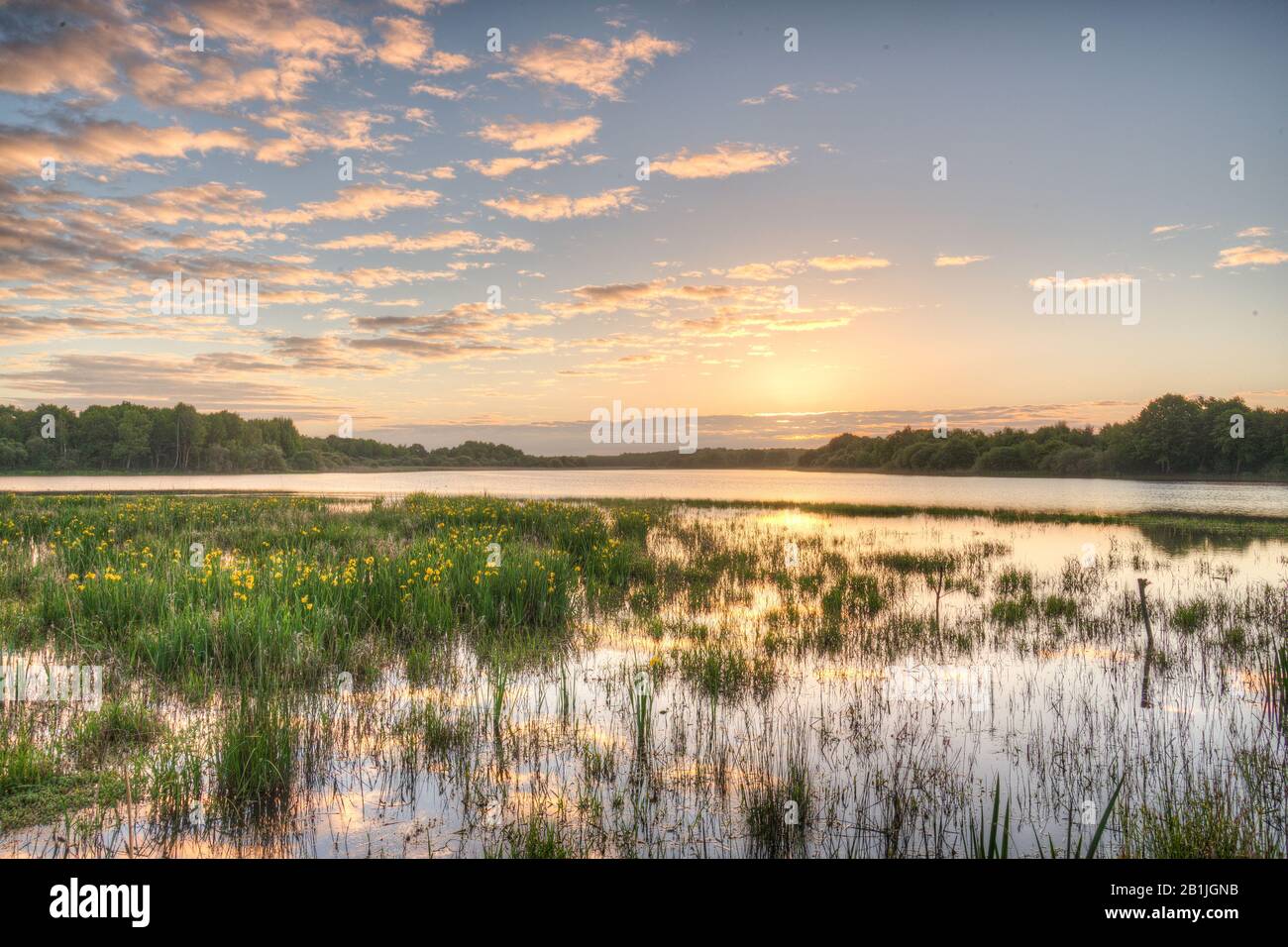 French wetland hi-res stock photography and images - Alamy