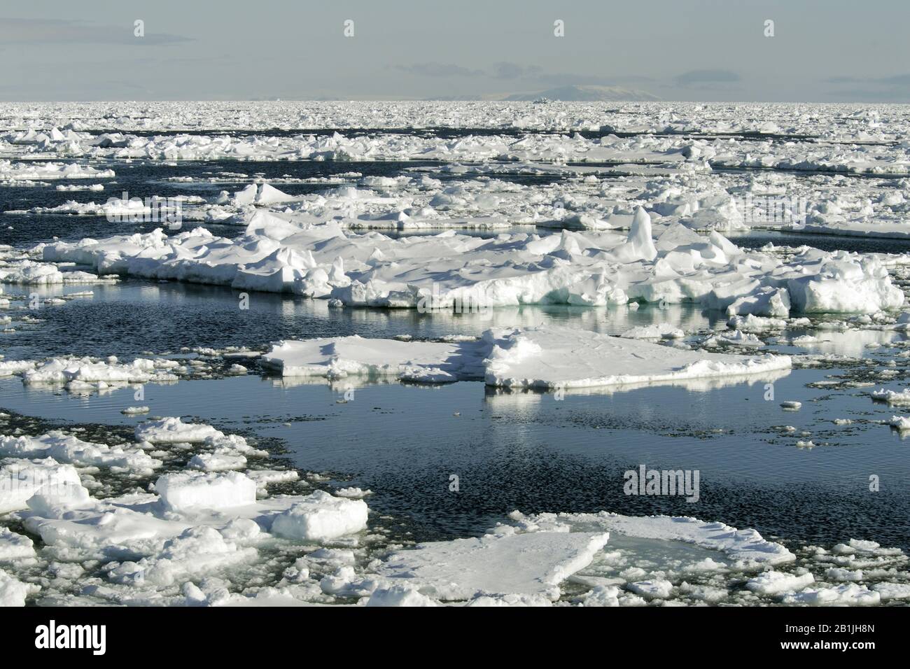 Arctic Ocean with ice floes, Norway, Svalbard Stock Photo - Alamy