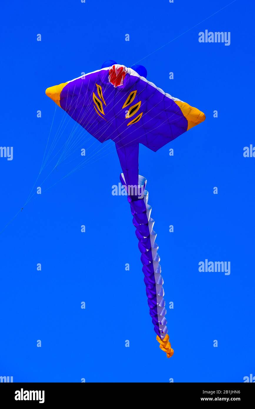 Static kites hi-res stock photography and images - Alamy