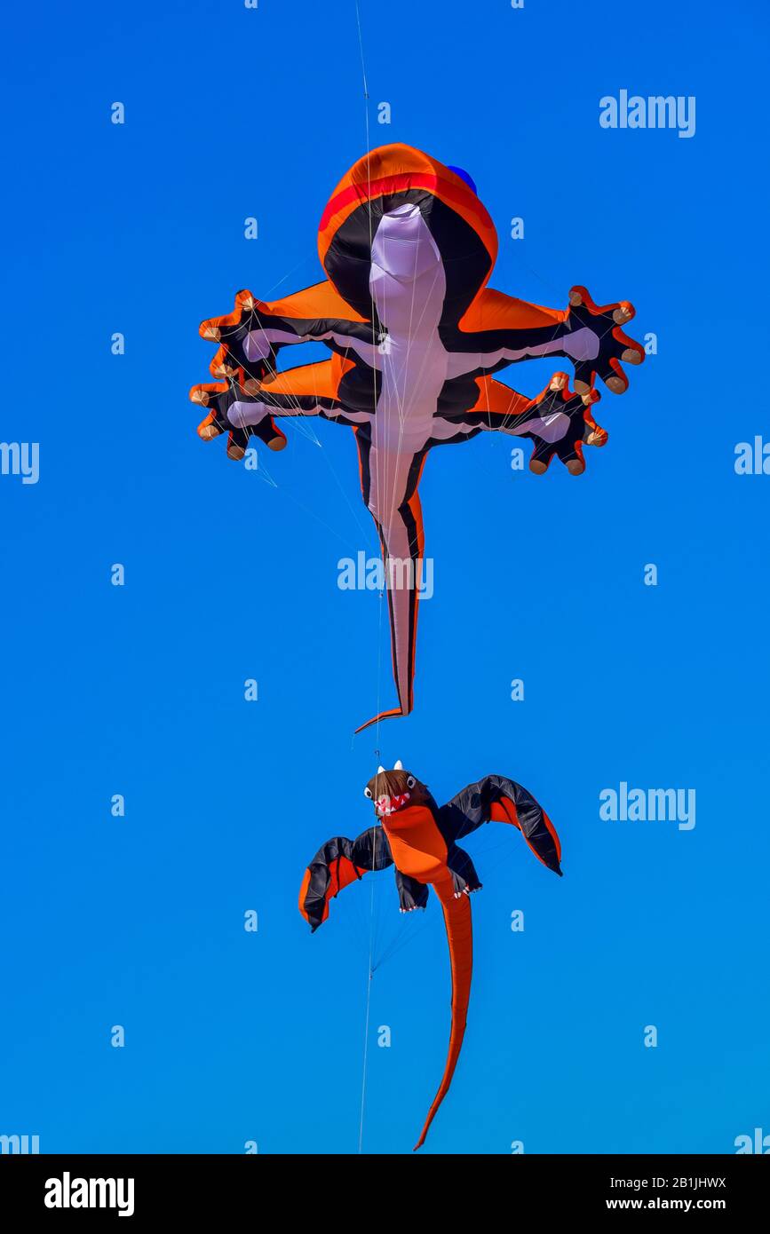 Static kites hi-res stock photography and images - Alamy