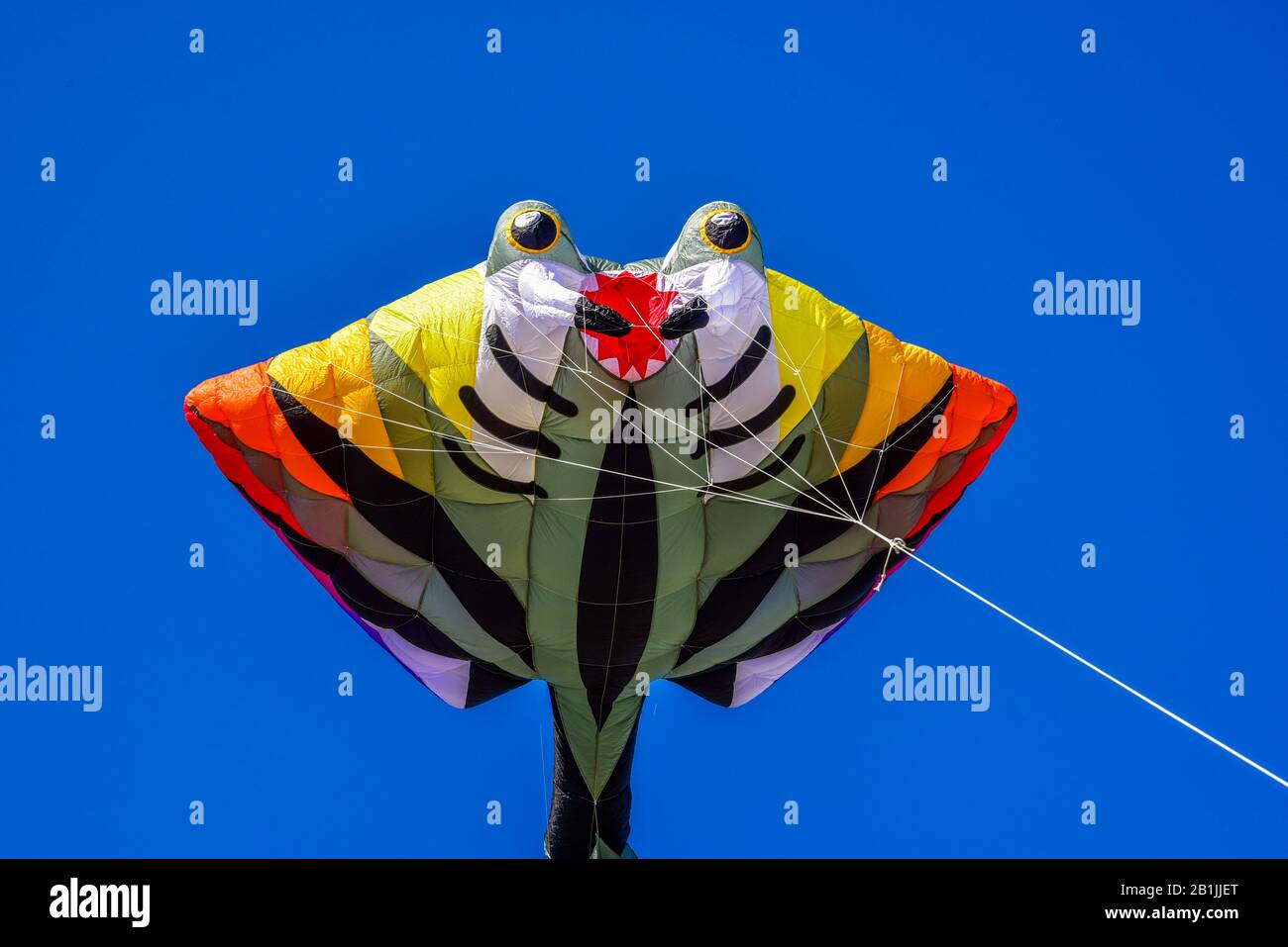 Static kites hi-res stock photography and images - Alamy