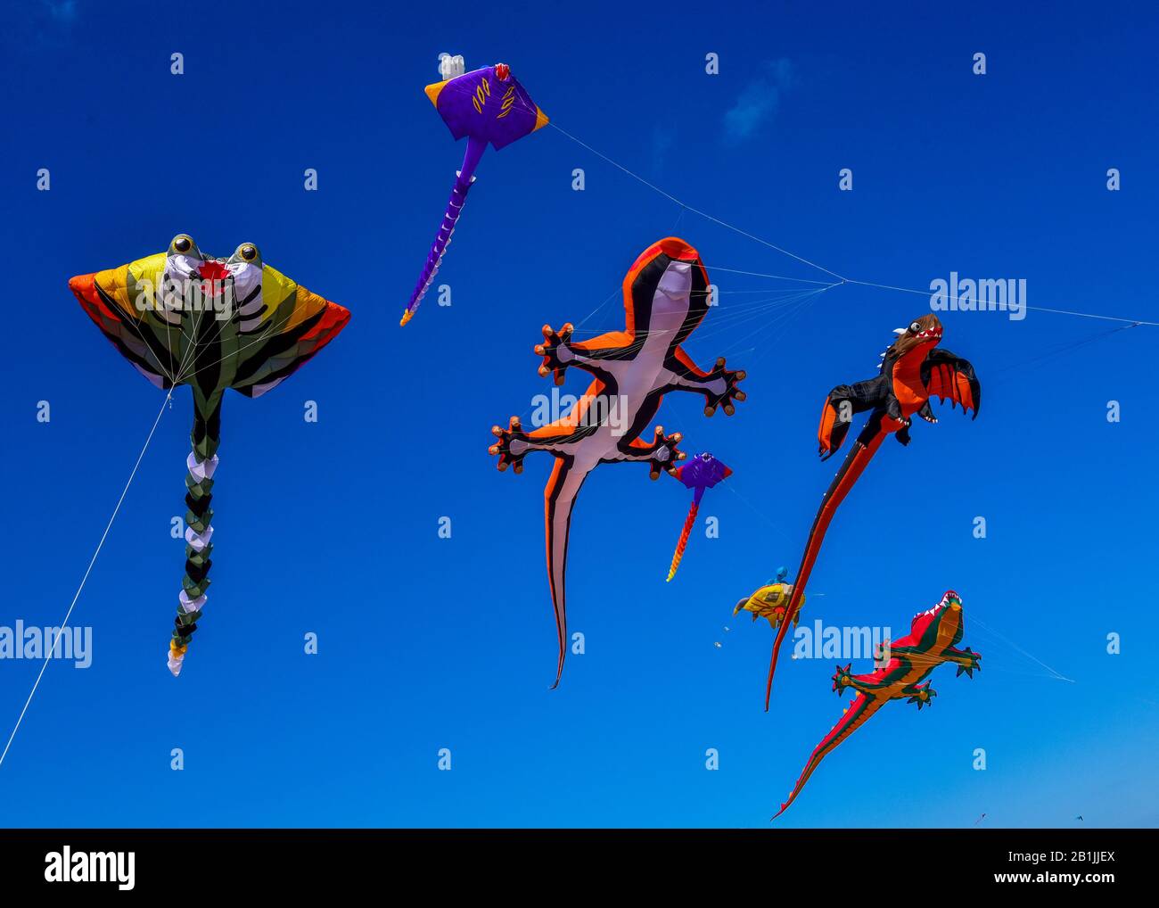 Static kites hi-res stock photography and images - Alamy