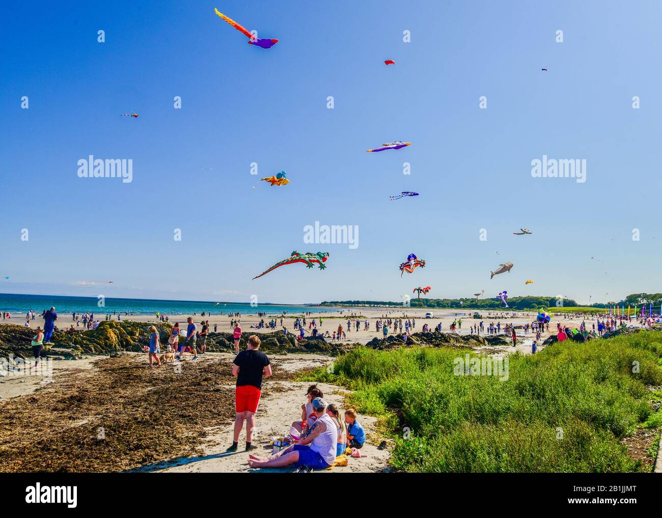 Static kites hi-res stock photography and images - Alamy