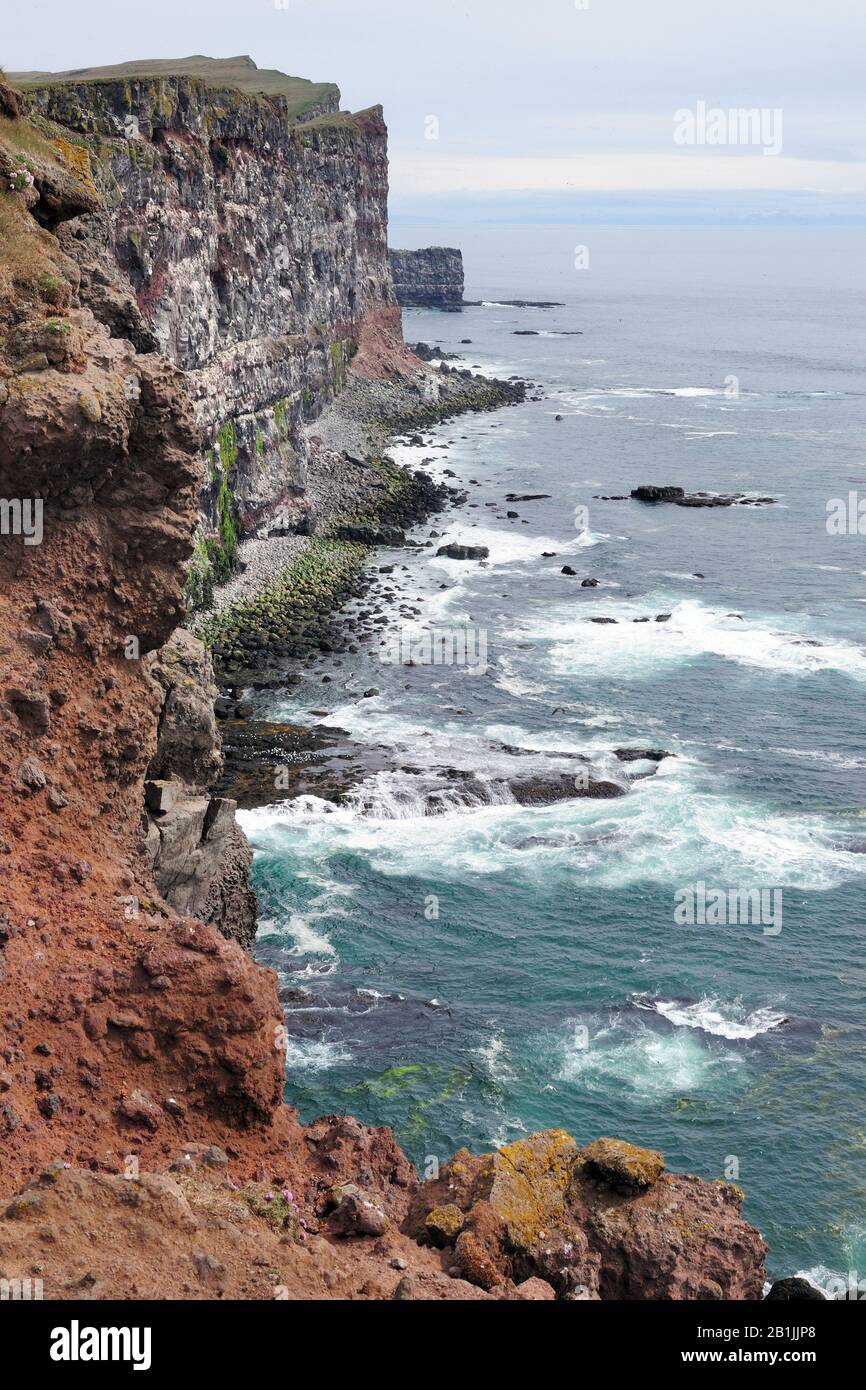 Bird cliffs iceland hi-res stock photography and images - Alamy