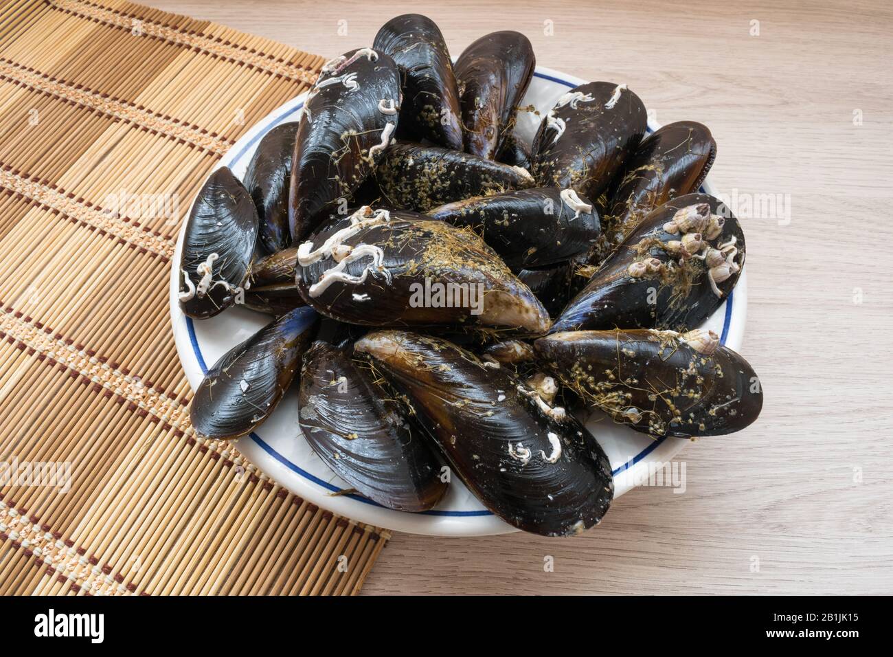 Plate gourmet hi-res stock photography and images - Alamy