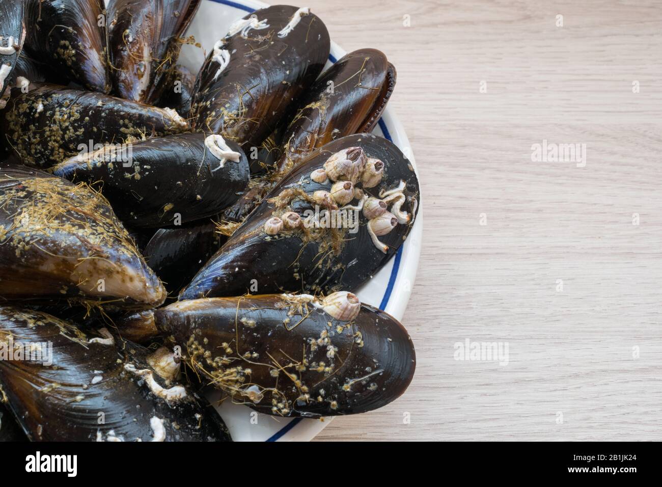 Close up fresh mussels hi-res stock photography and images - Alamy