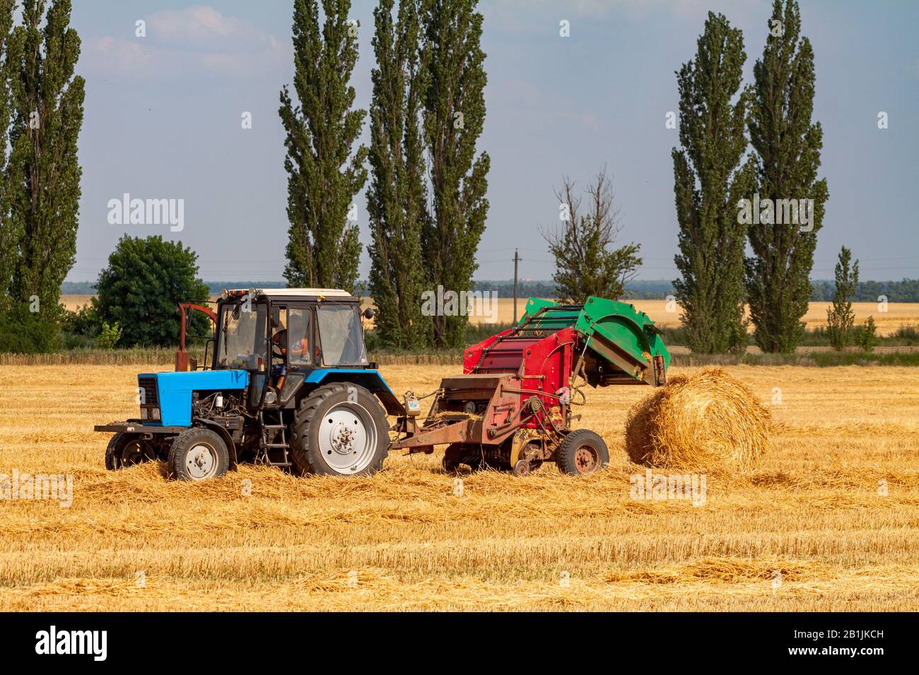 A tractor with a trailed bale making machine collects straw rolls in ...