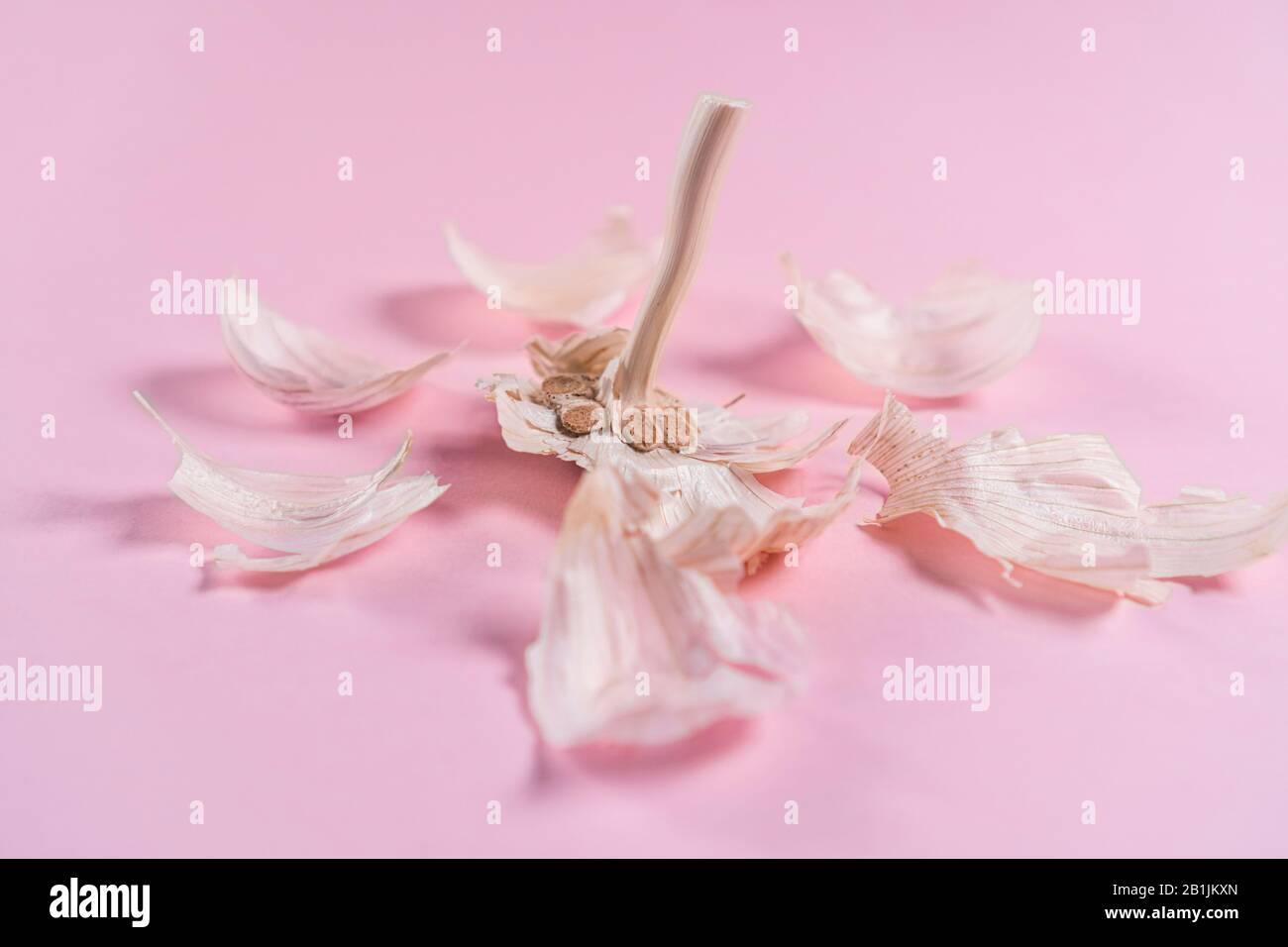 Garlic husk is beautifully laid with a pattern on a delicate pink ...