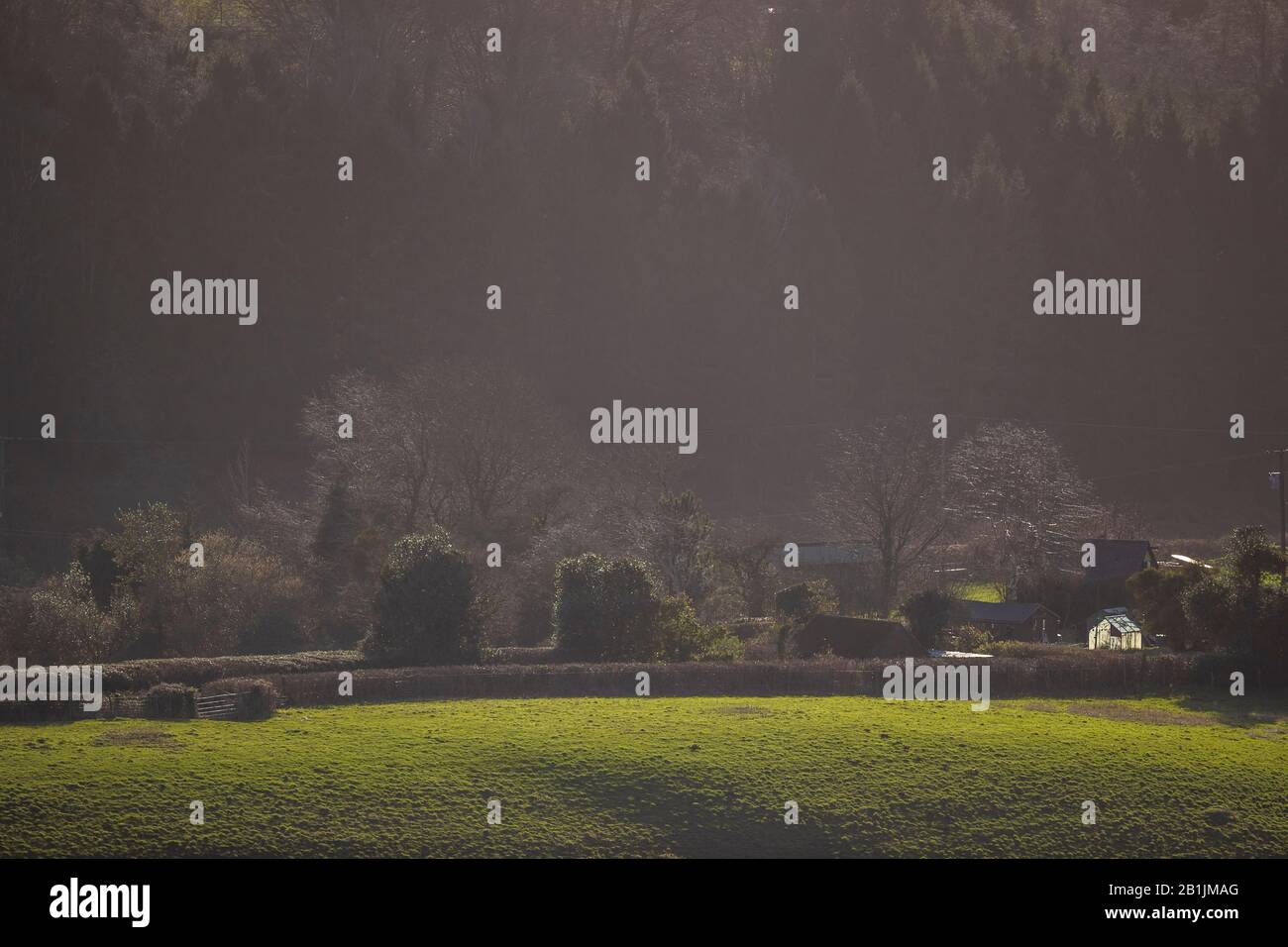 Early morning light illuminates hamlets around Abenhall Road from the ...