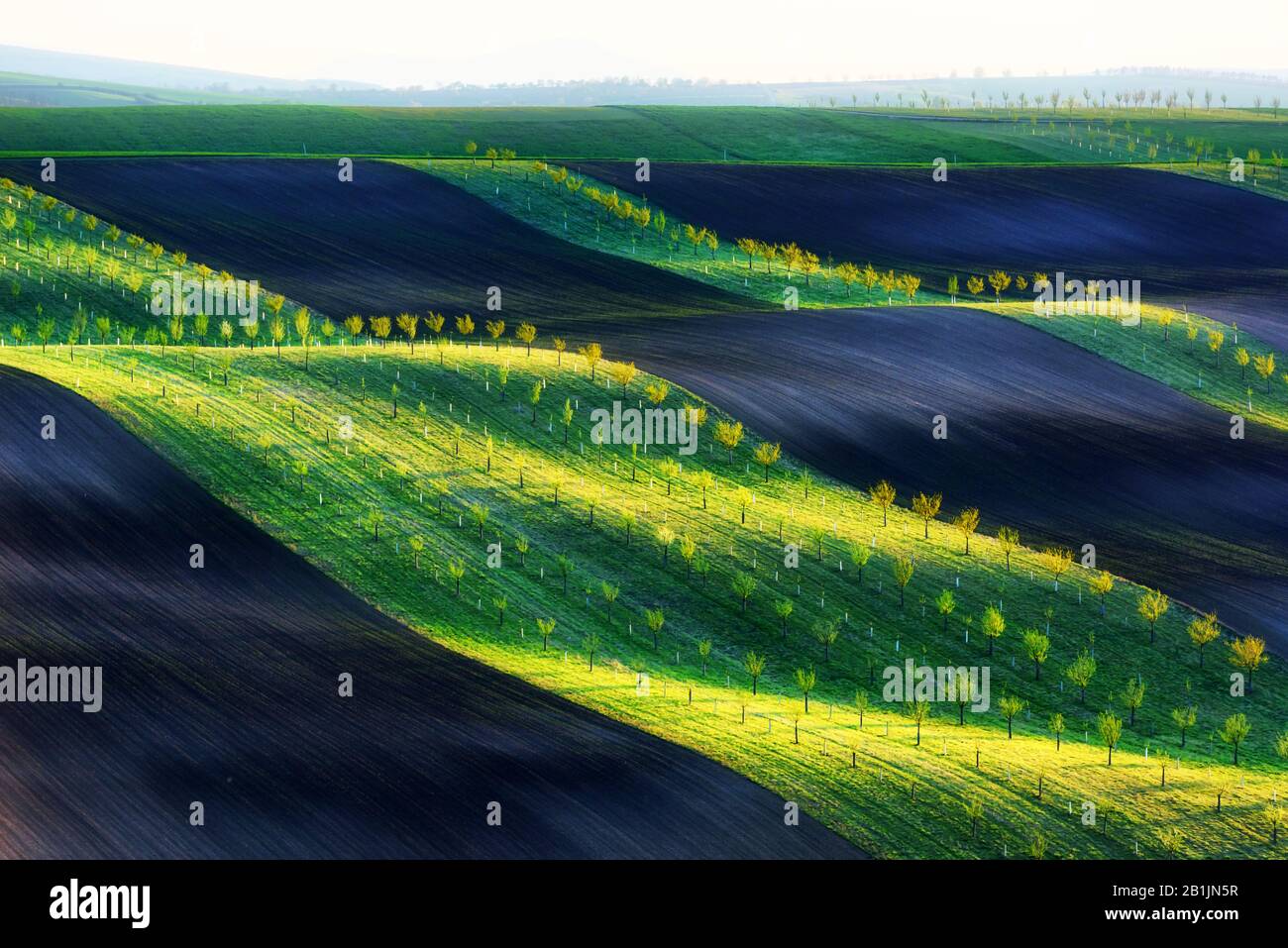 Green, brown and yellow waves of the agricultural fields of South ...