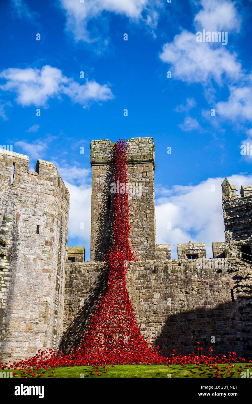 Landscape photograph of a castle with poppies Stock Photo - Alamy