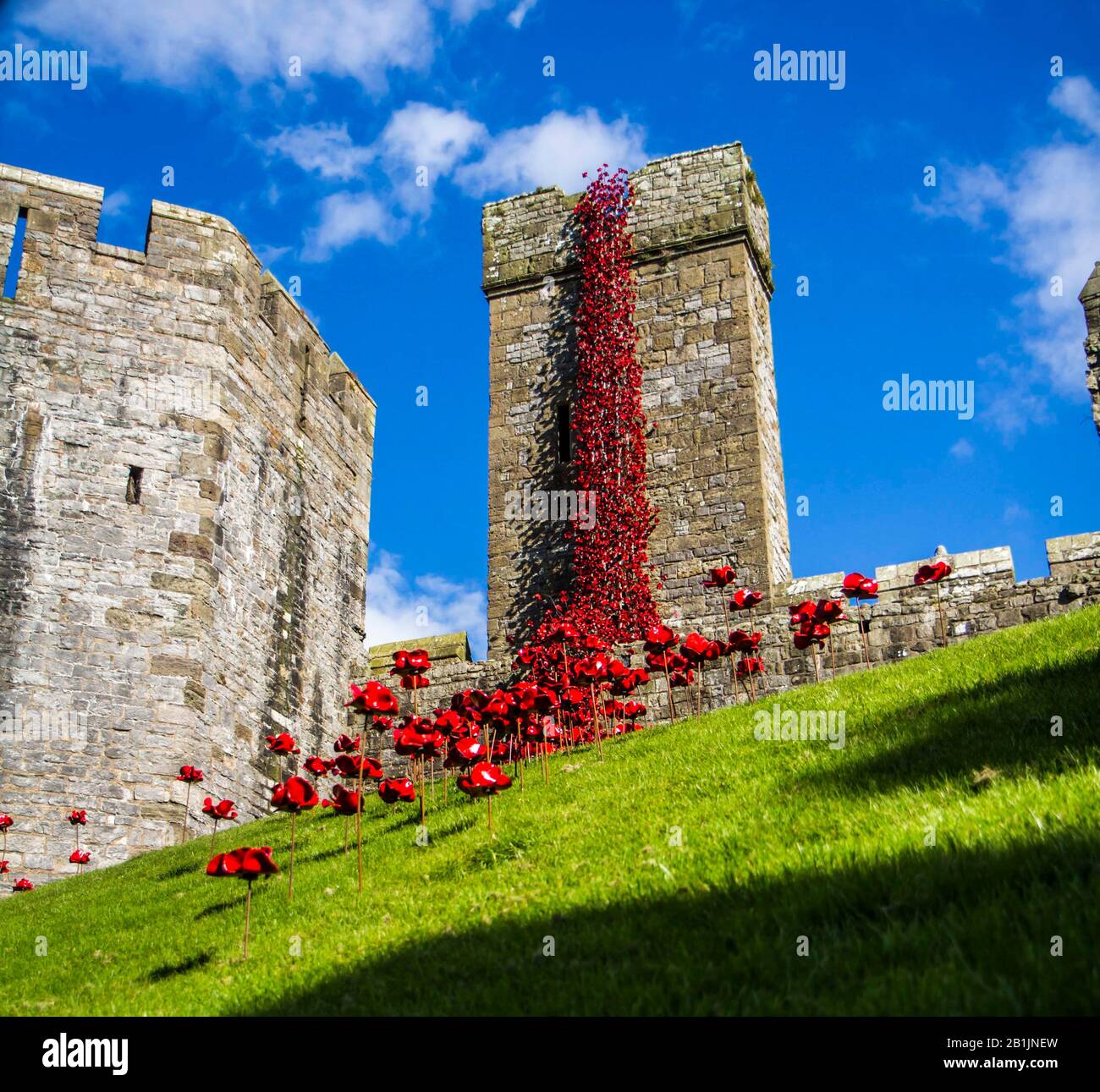 Landscape photograph of a castle with poppies Stock Photo - Alamy