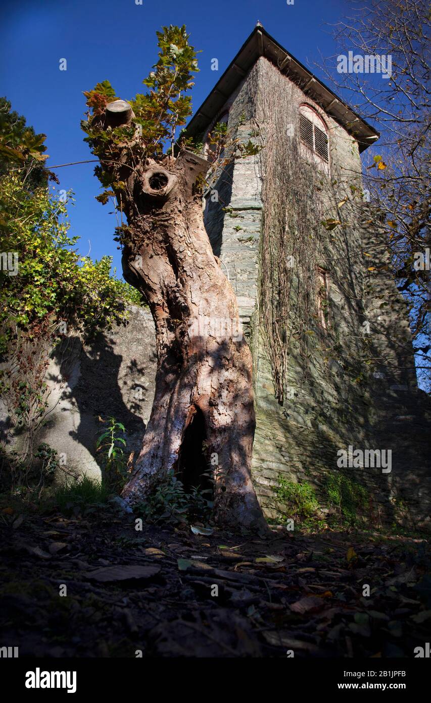 Stump tower hi-res stock photography and images - Alamy